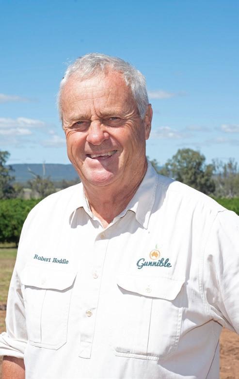2024 election profiles: Gunnedah Shire Council - Gunnedah Times