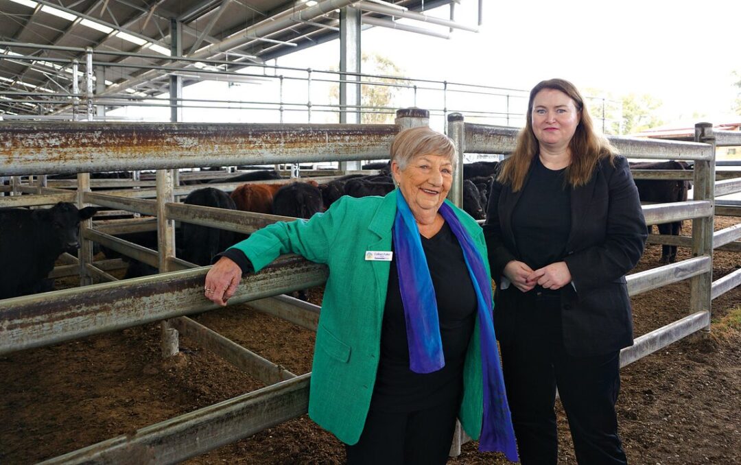 Gunnedah Regional Saleyards $27.4 million redevelopment officially ...
