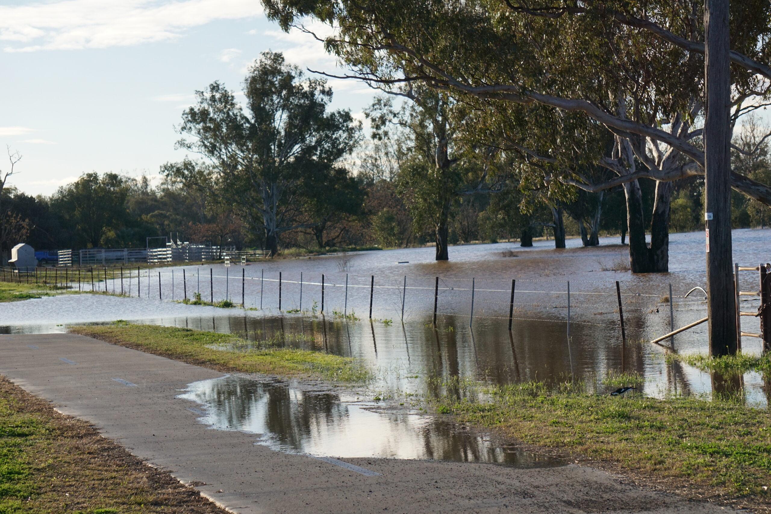 UPDATED: Major flood Namoi River Gunnedah, SES urges people not to ...
