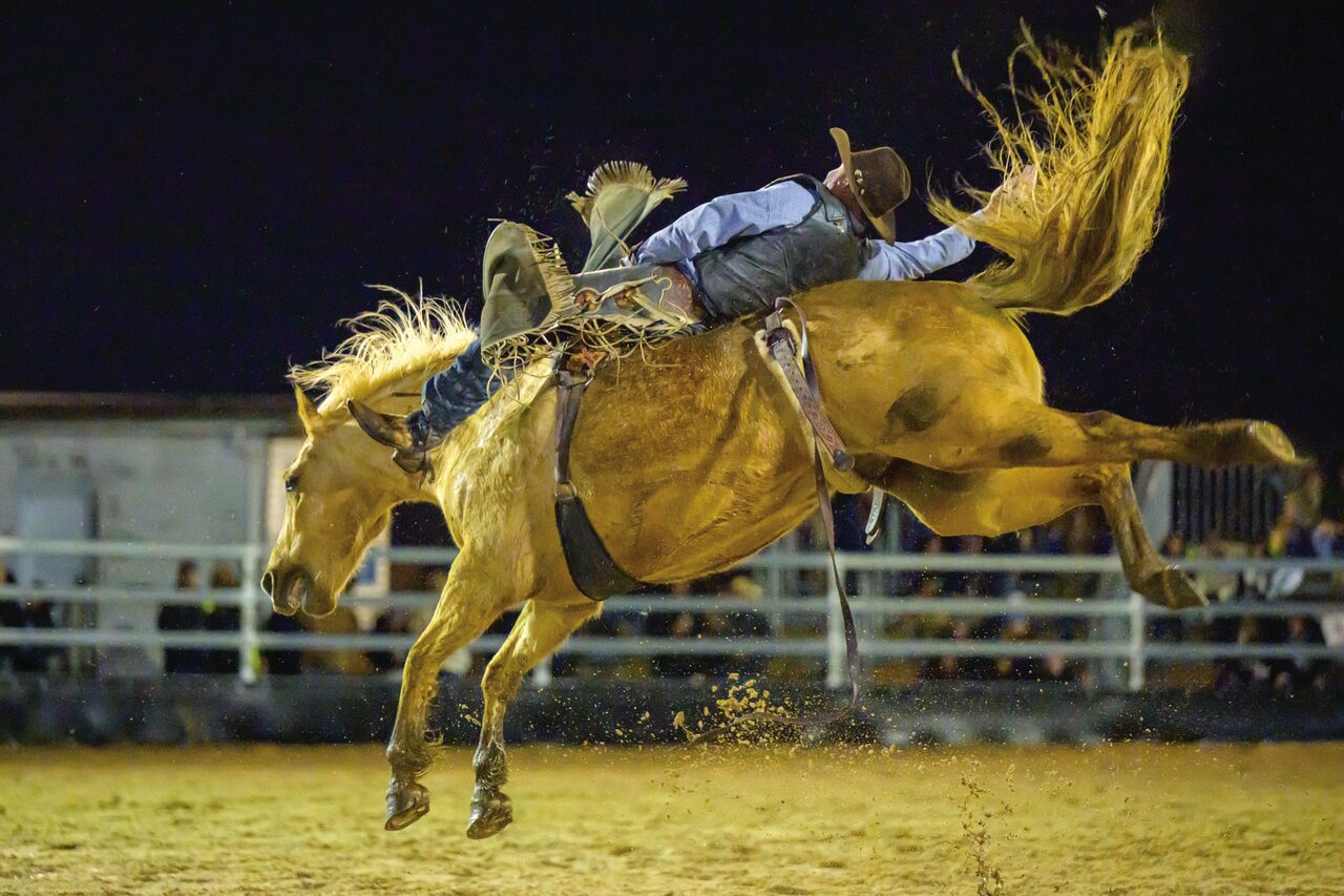 AgQuip rodeo competitors brave wet conditions - Gunnedah Times
