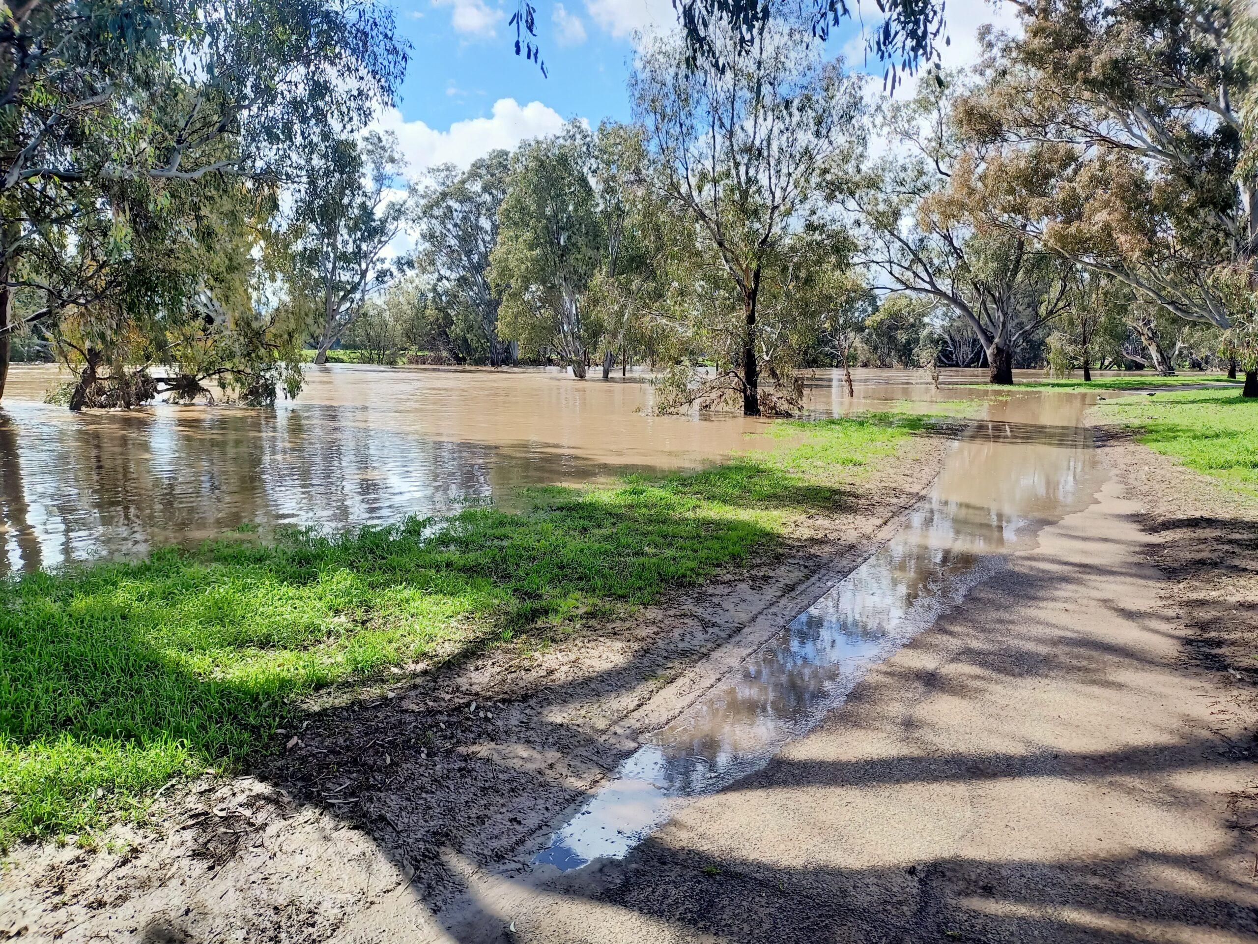 UPDATED: Gunnedah and district flooding again, August 2025 - PHOTOS ...