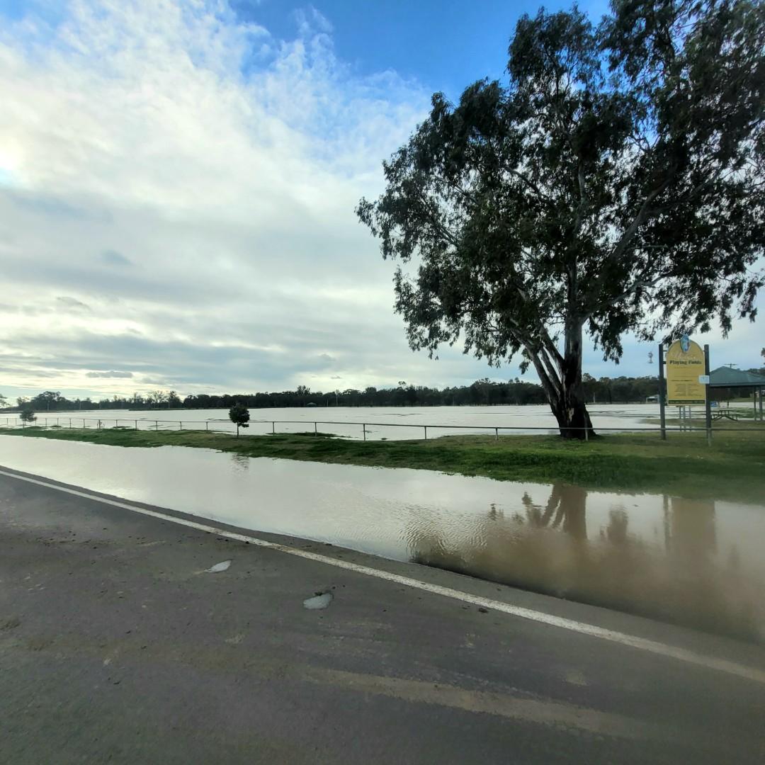 UPDATED: Major flood Namoi River Gunnedah, SES urges people not to ...