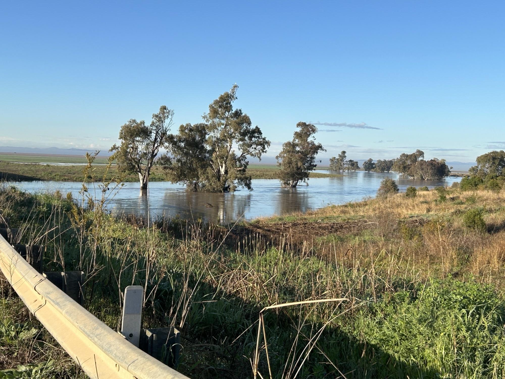 UPDATED: Gunnedah and district flooding again, August 2025 - PHOTOS ...