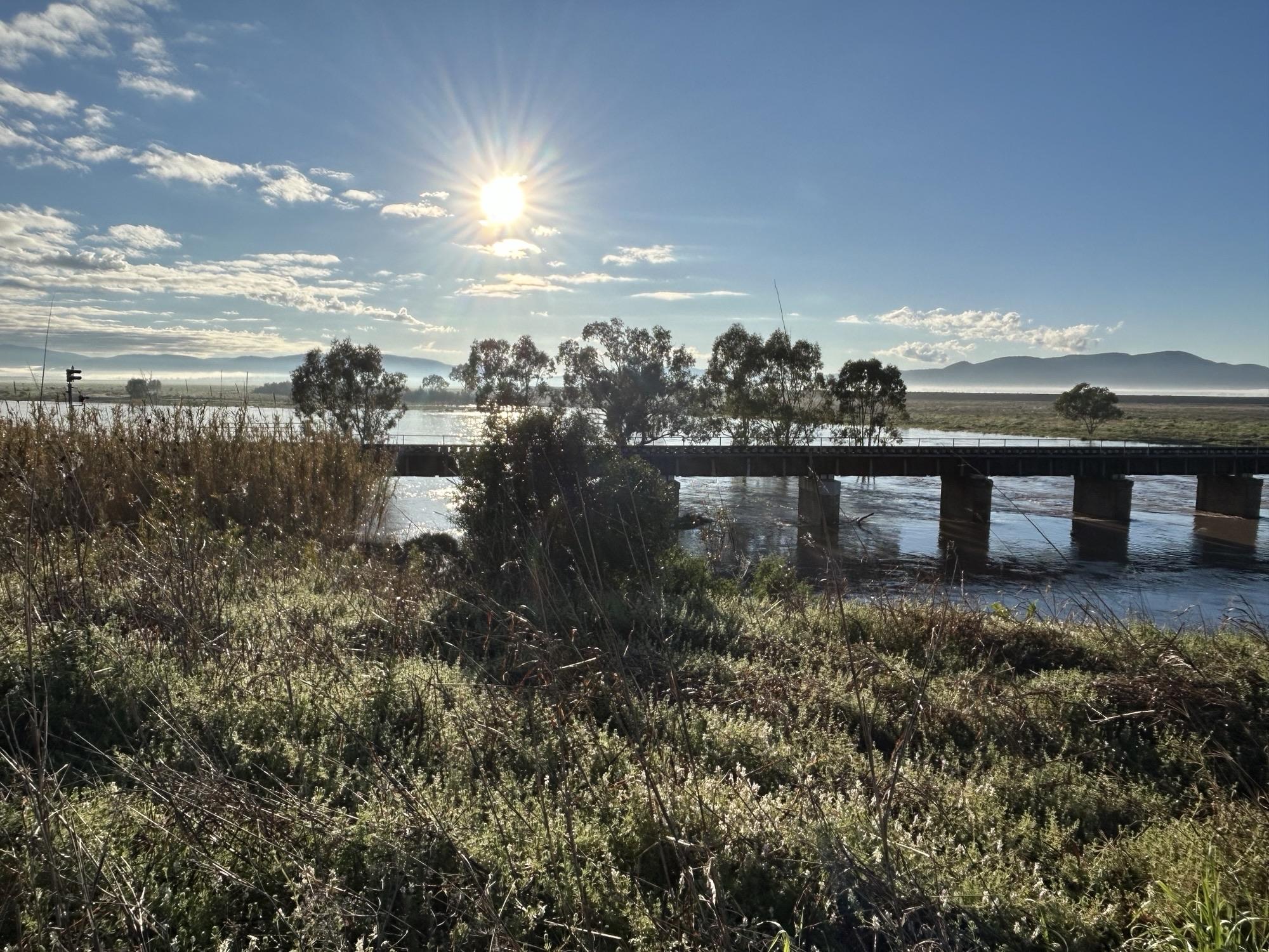 UPDATED: Gunnedah and district flooding again, August 2025 - PHOTOS ...