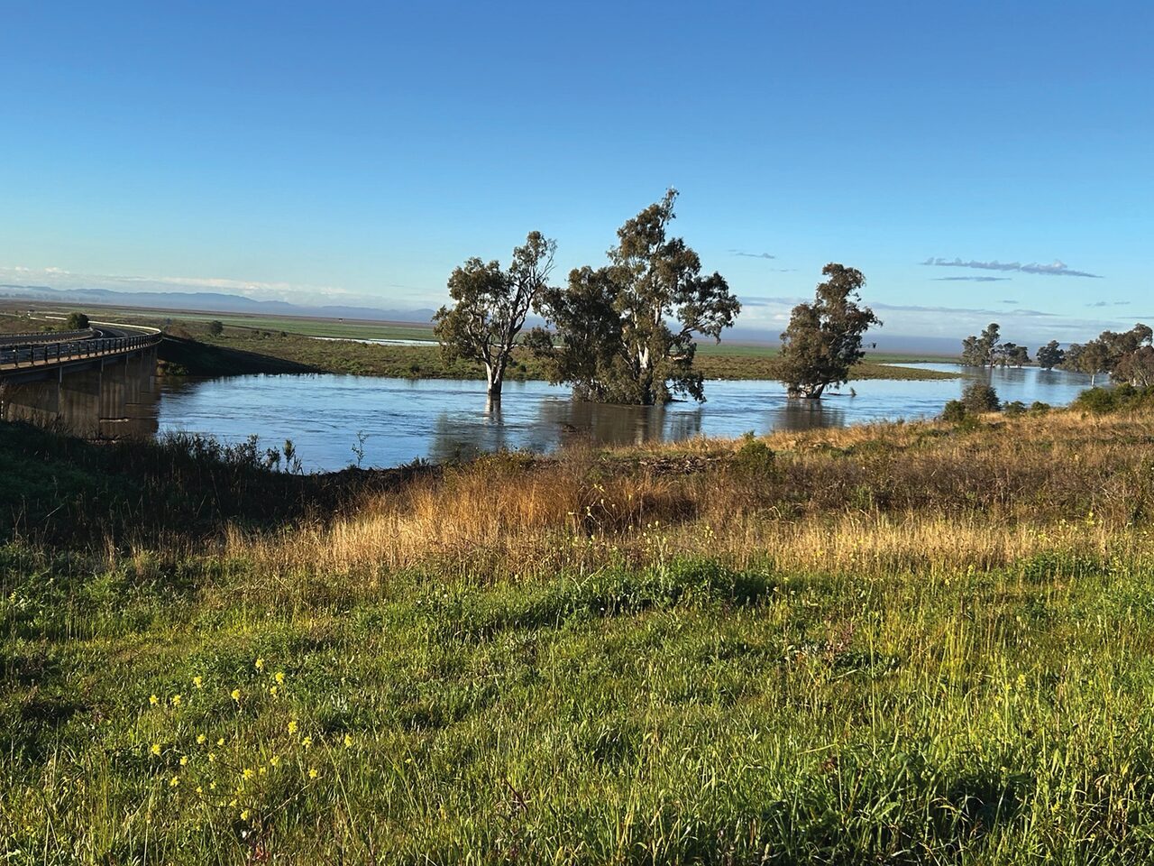 Second flood event this month in Gunnedah area - Gunnedah Times