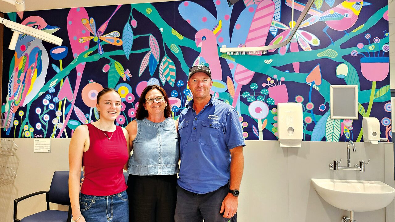 Gunnedah Hospital features local artworks - Gunnedah Times