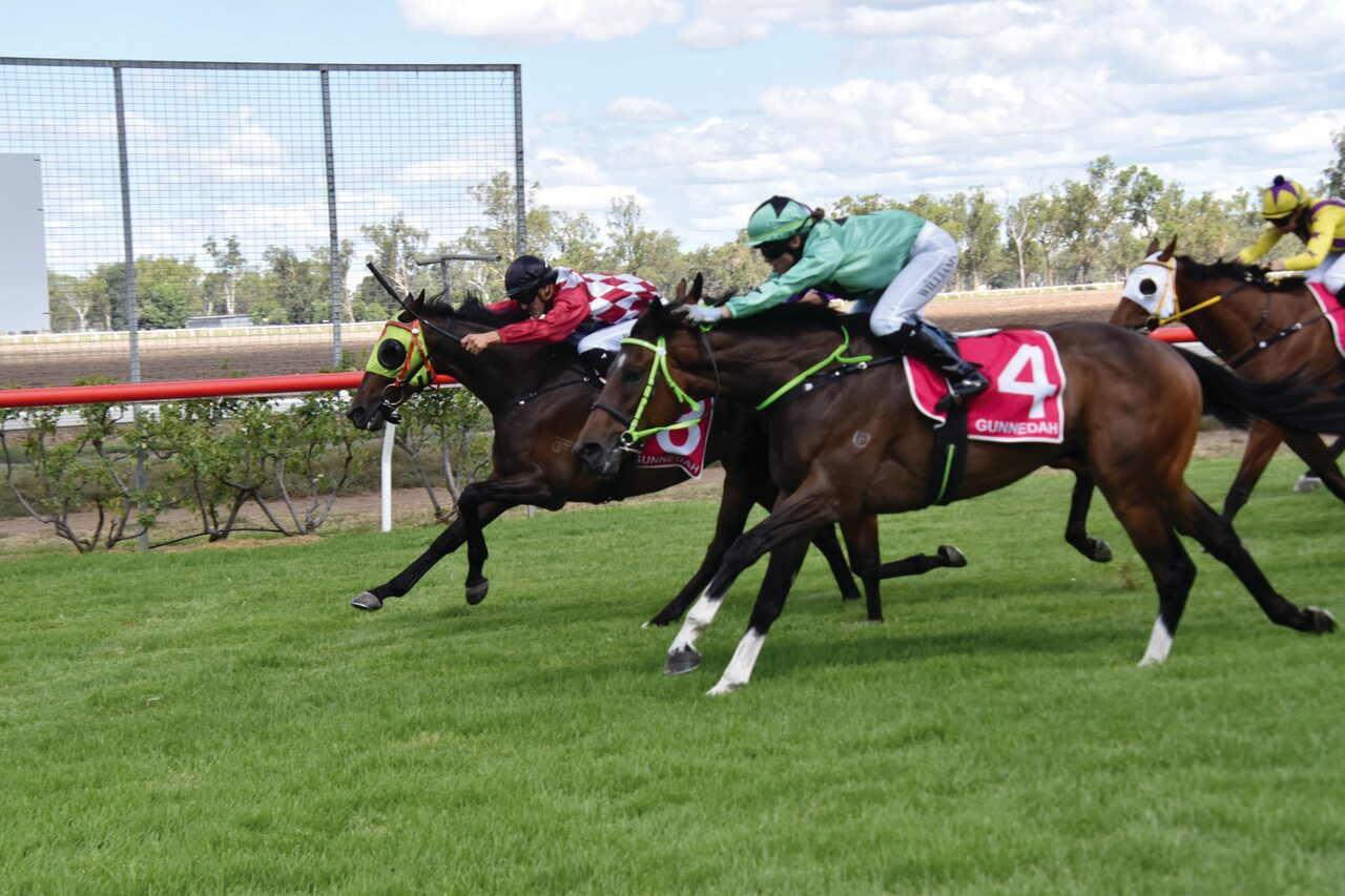 Nail-biting finishes at Gunnedah race meet - Gunnedah Times