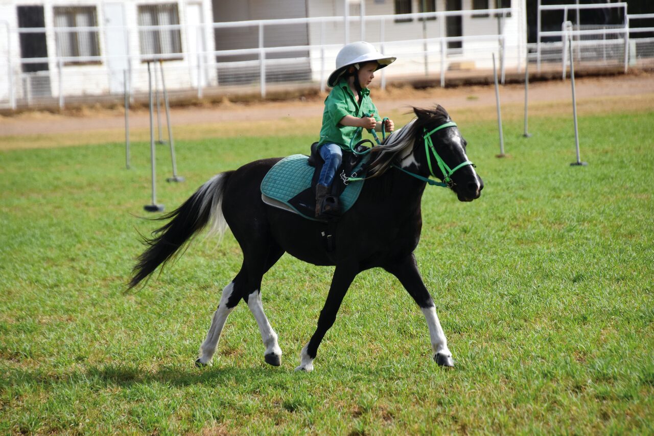 Pony club holds rally day at Gunnedah Showgrounds - Gunnedah Times